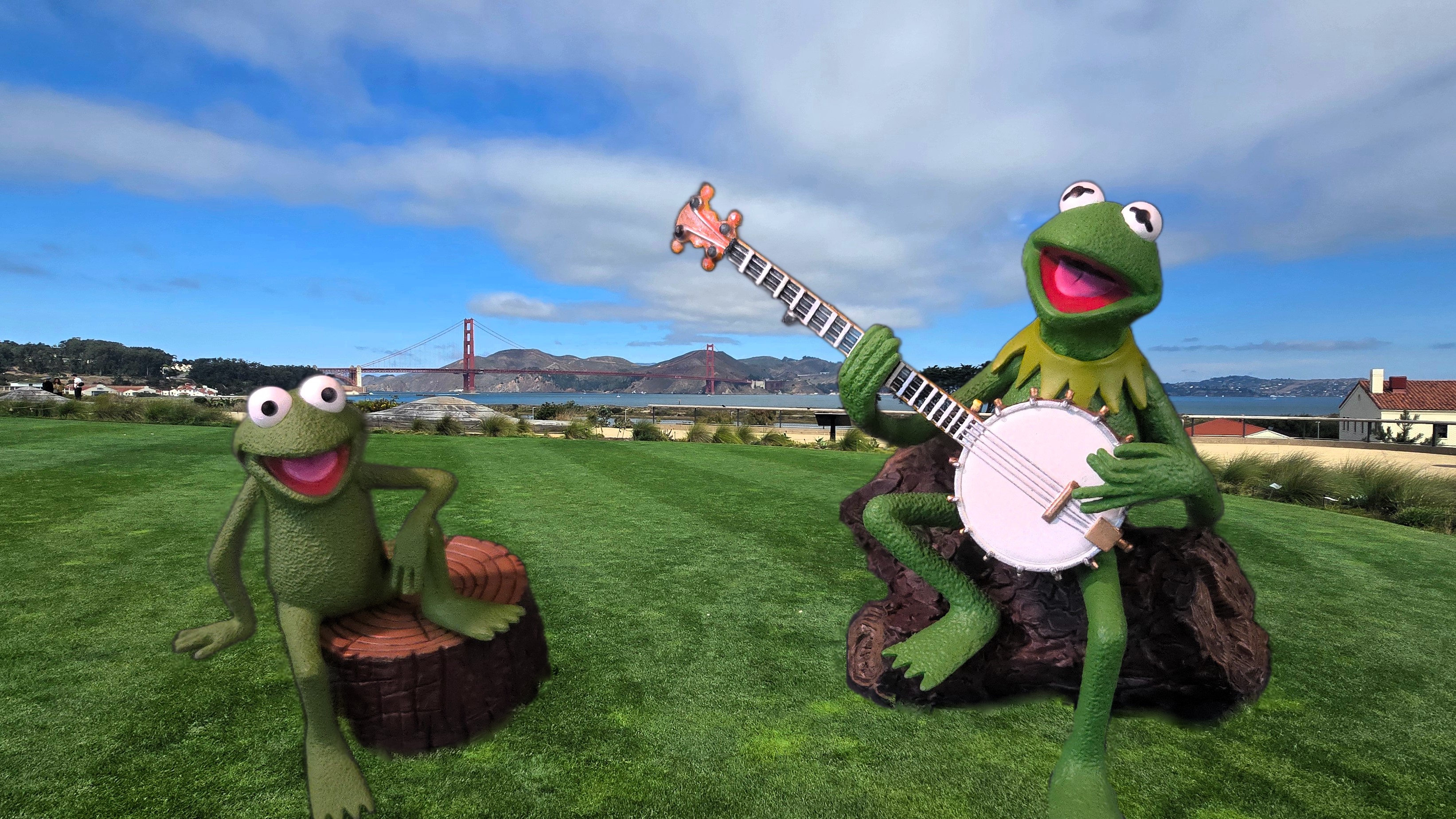 Rainbow Connection Kermit the Frog – Dale's Toys